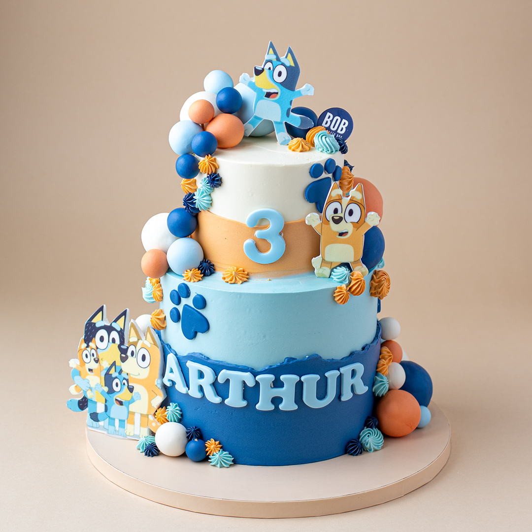 Bluey and Bingo Family Birthday Cake - Bob the Baker Boy