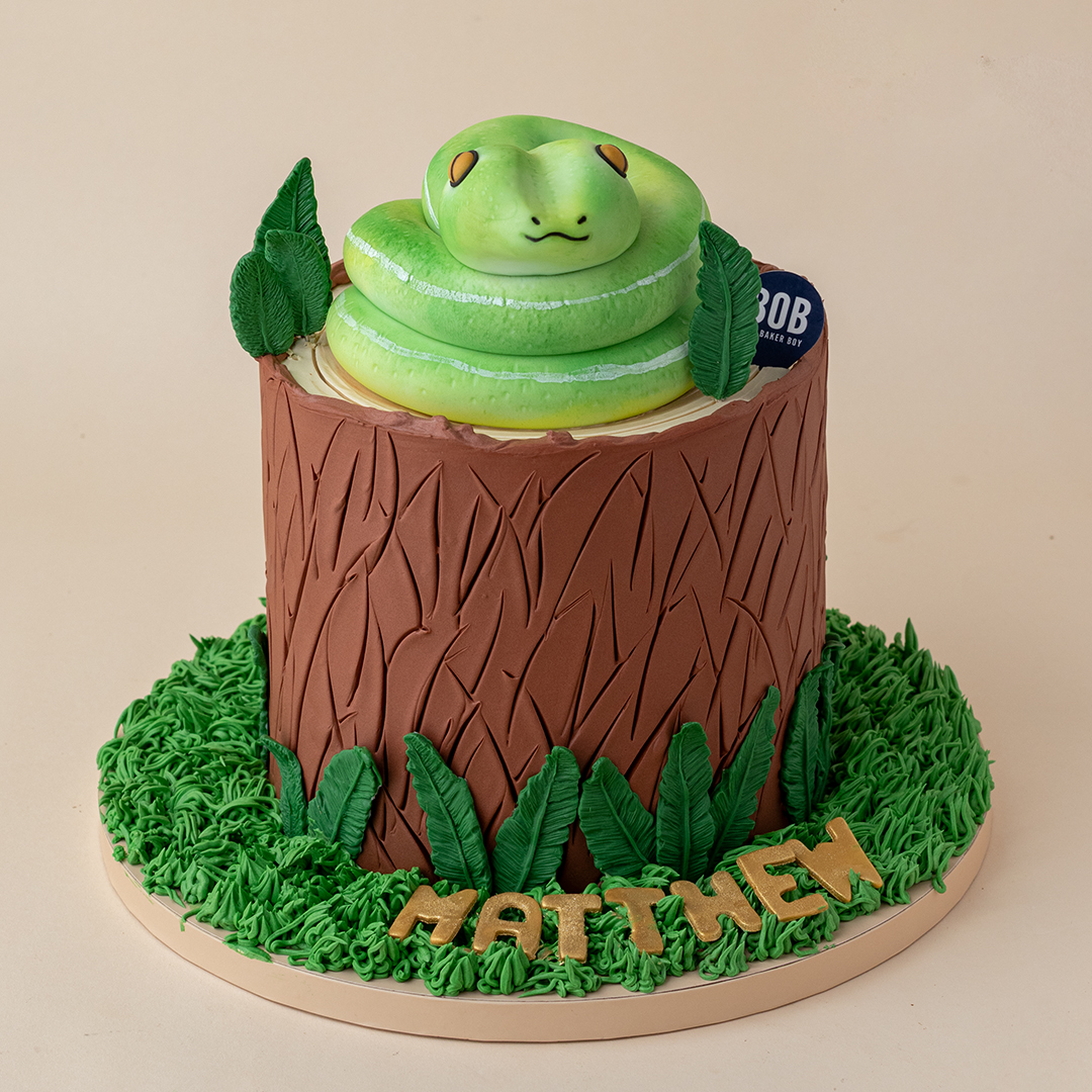 Snake & Ferns Cake - Bob the Baker Boy