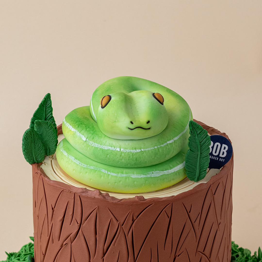 Snake & Ferns Cake - Bob the Baker Boy